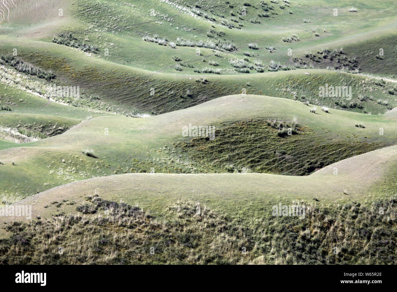 Landscape of the human body-like Kalajun Prairie in Tekes County, Ili ...