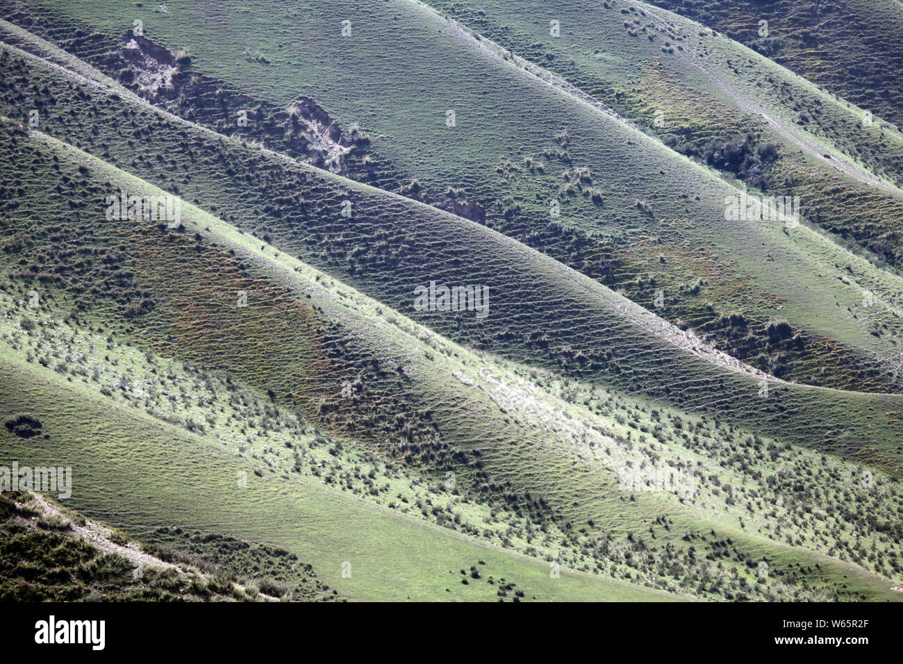 Kalajun prairie hi-res stock photography and images - Alamy