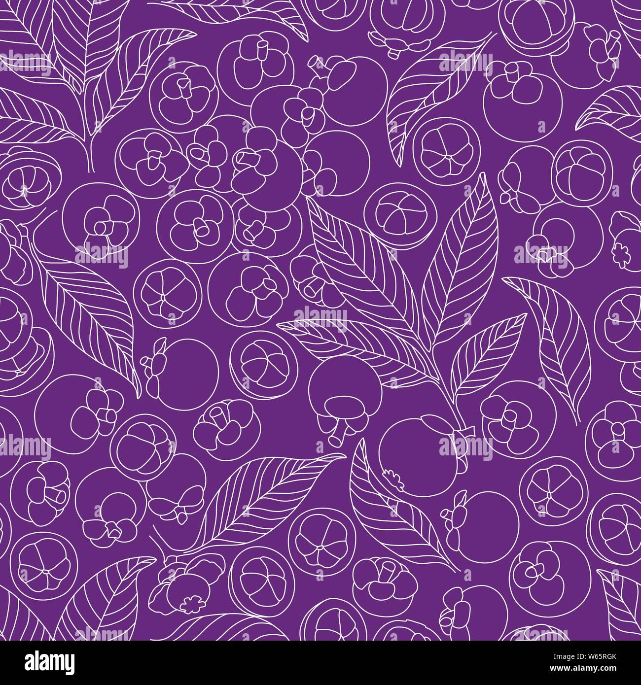 Artistic and Detailed Mangosteen Line Drawing Seamless Pattern on ...