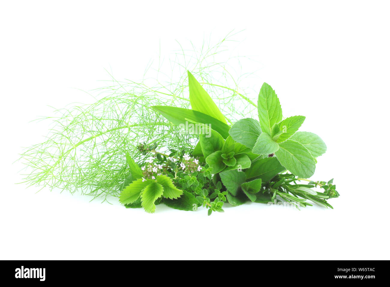 Fresh herbs on white background Stock Photo - Alamy