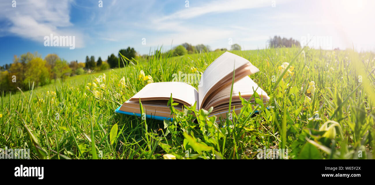 Open book in the grass on the field Stock Photo - Alamy