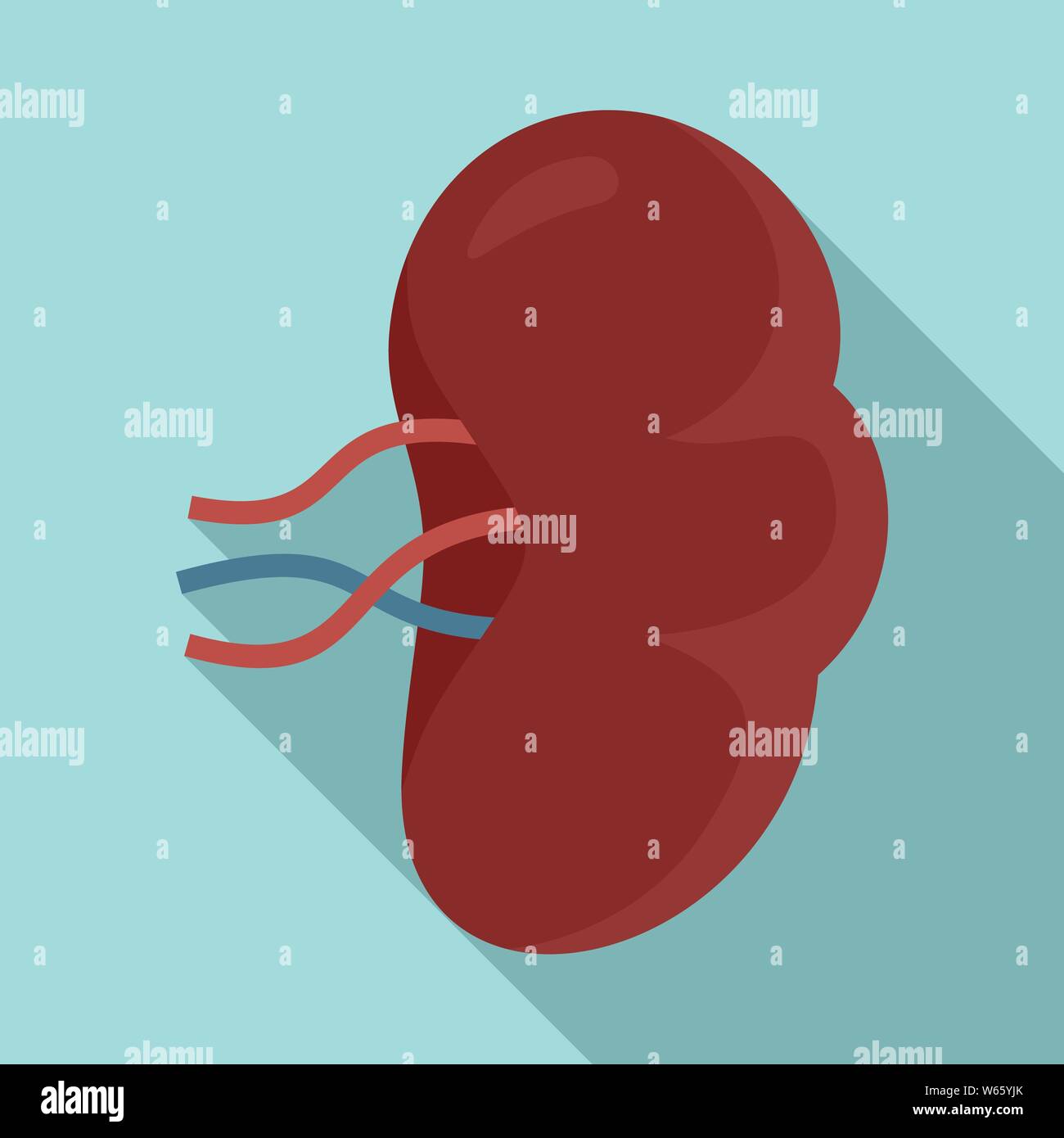 Spleen icon. Flat illustration of spleen vector icon for web design ...