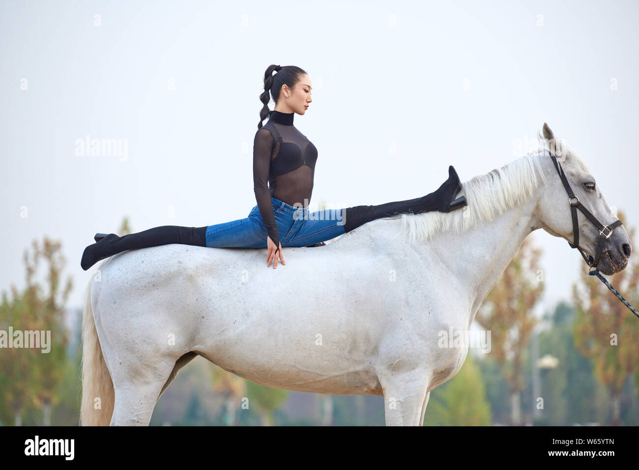 This undated picture shows 27-year-old Chinese contortionist Liu Teng ...