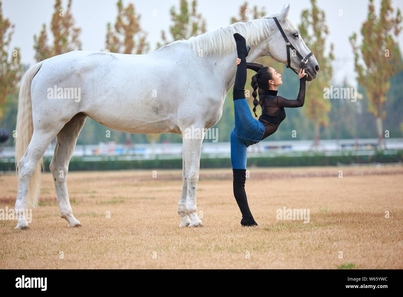 This undated picture shows 27-year-old Chinese contortionist Liu Teng ...
