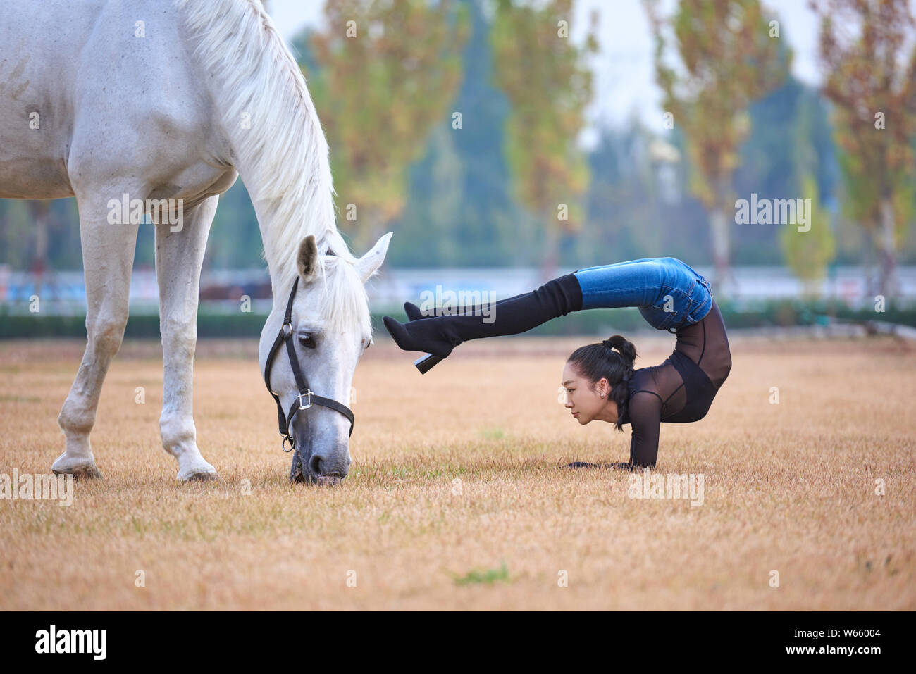 This undated picture shows 27-year-old Chinese contortionist Liu Teng ...