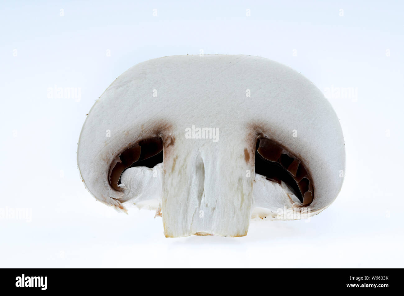 Button mushroom hi-res stock photography and images - Alamy
