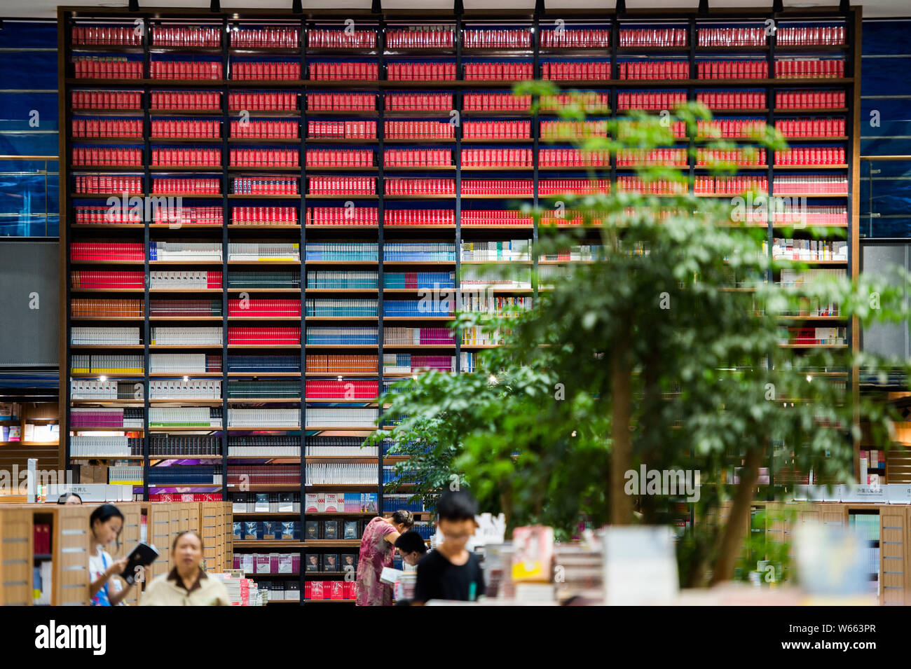 Customers select and read books in Shenzhen Book City Longgang Store ...
