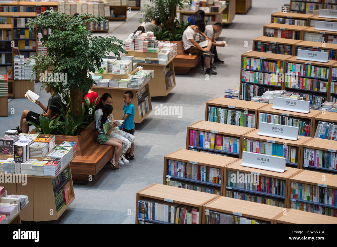 Customers select and read books in Shenzhen Book City Longgang Store ...