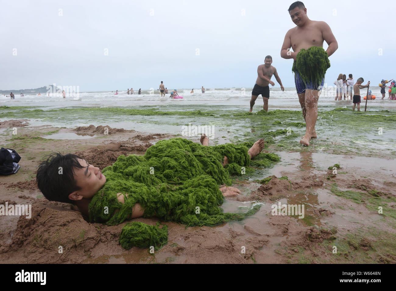 Algae on the beach hi-res stock photography and images - Alamy