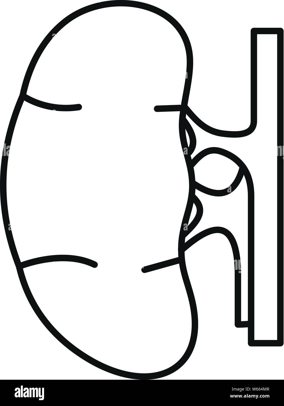 Human kidney icon. Outline human kidney vector icon for web design isolated on white background ...