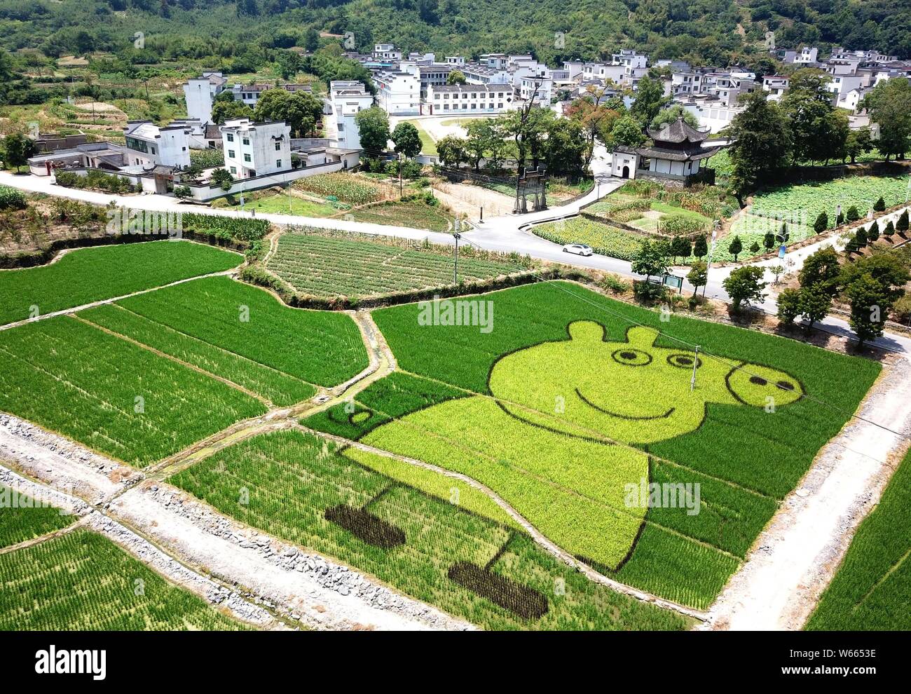 An aerial view of a 3D rice paddy painting of British animated series ...