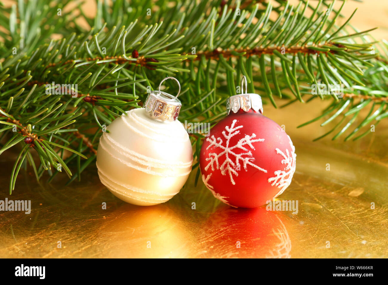 Red and white Christmas baubles in fresh conifer tree branches Stock ...