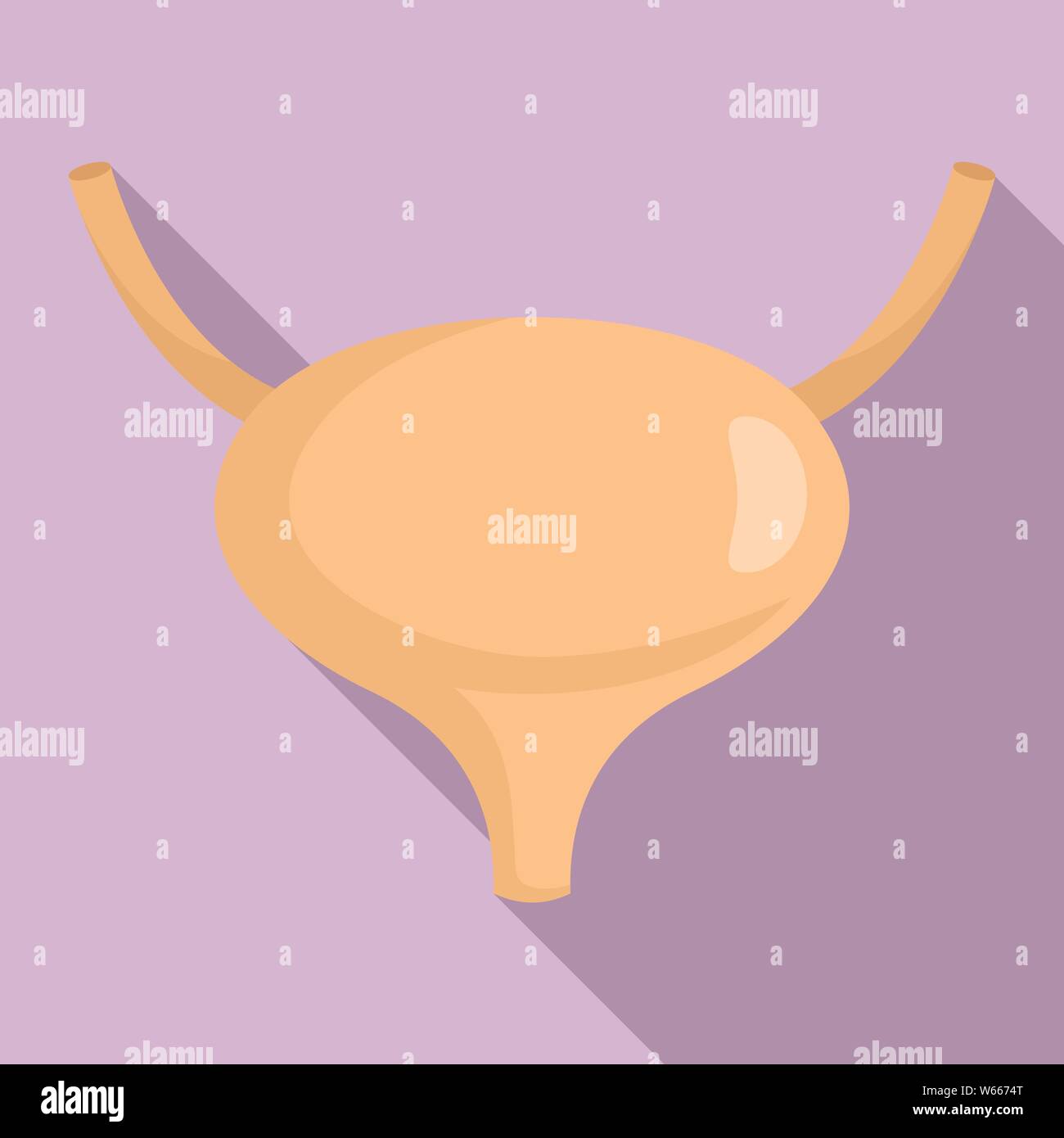 Bladder icon. Flat illustration of bladder vector icon for web design ...