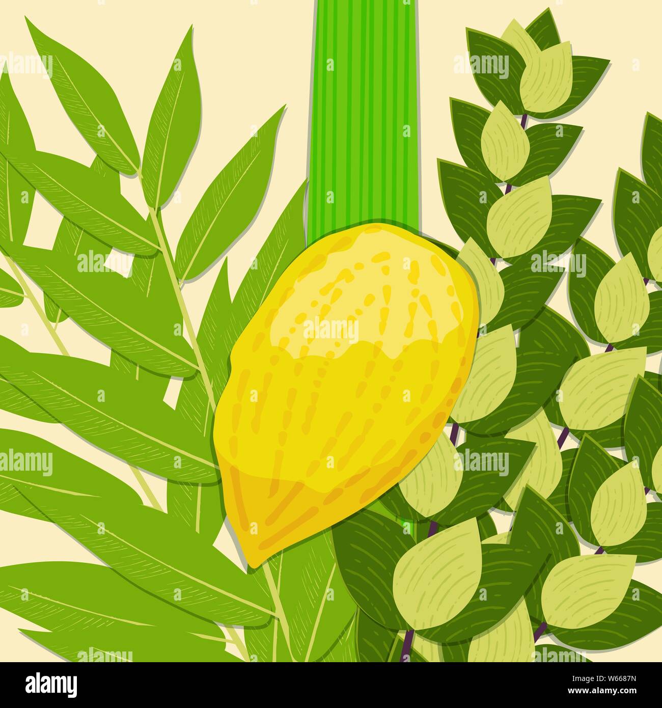 Traditional symbols etrog lulav Stock Vector Images - Alamy