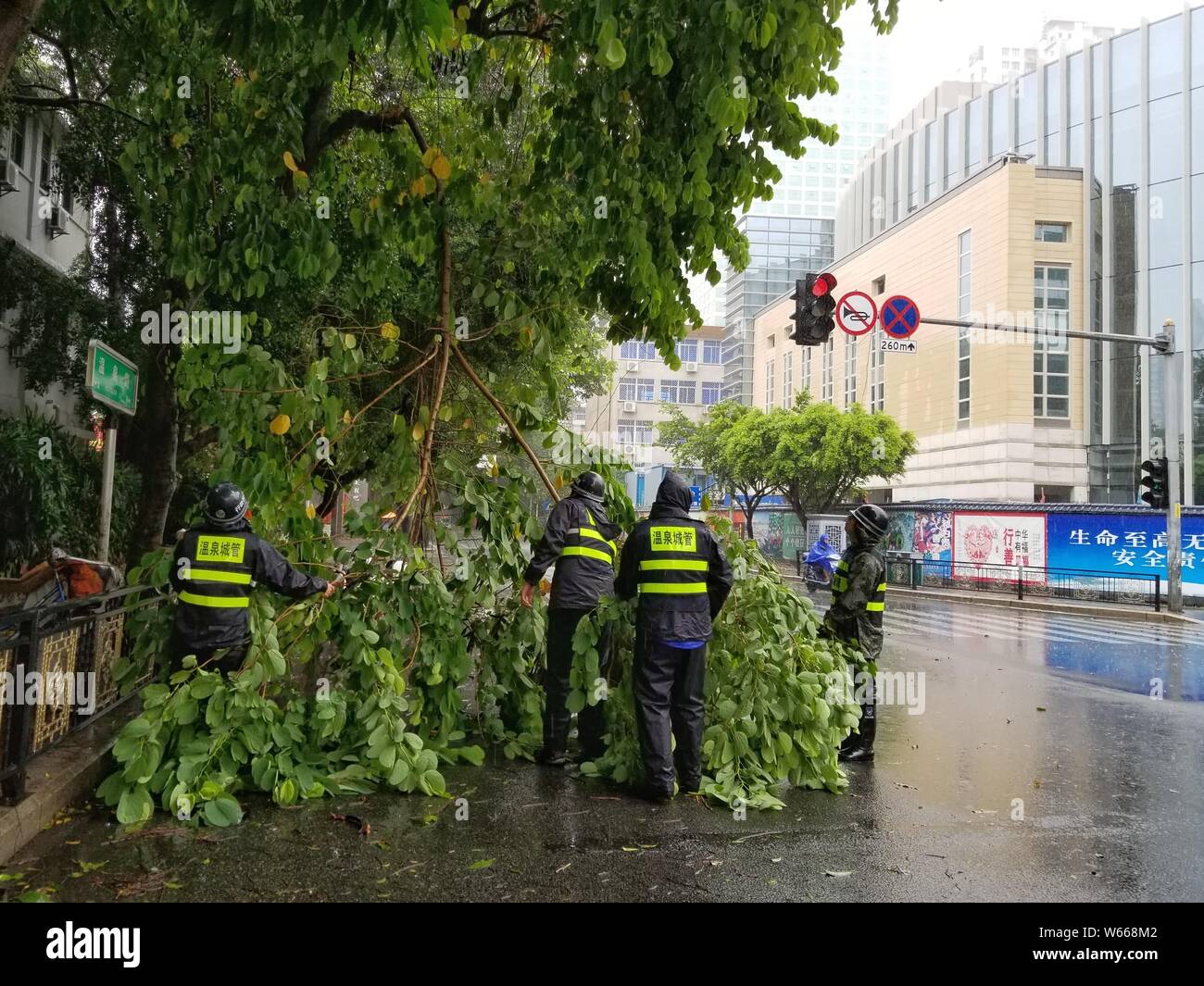 Chinese urban enforcement officers, also known as chengguan, clear tree ...