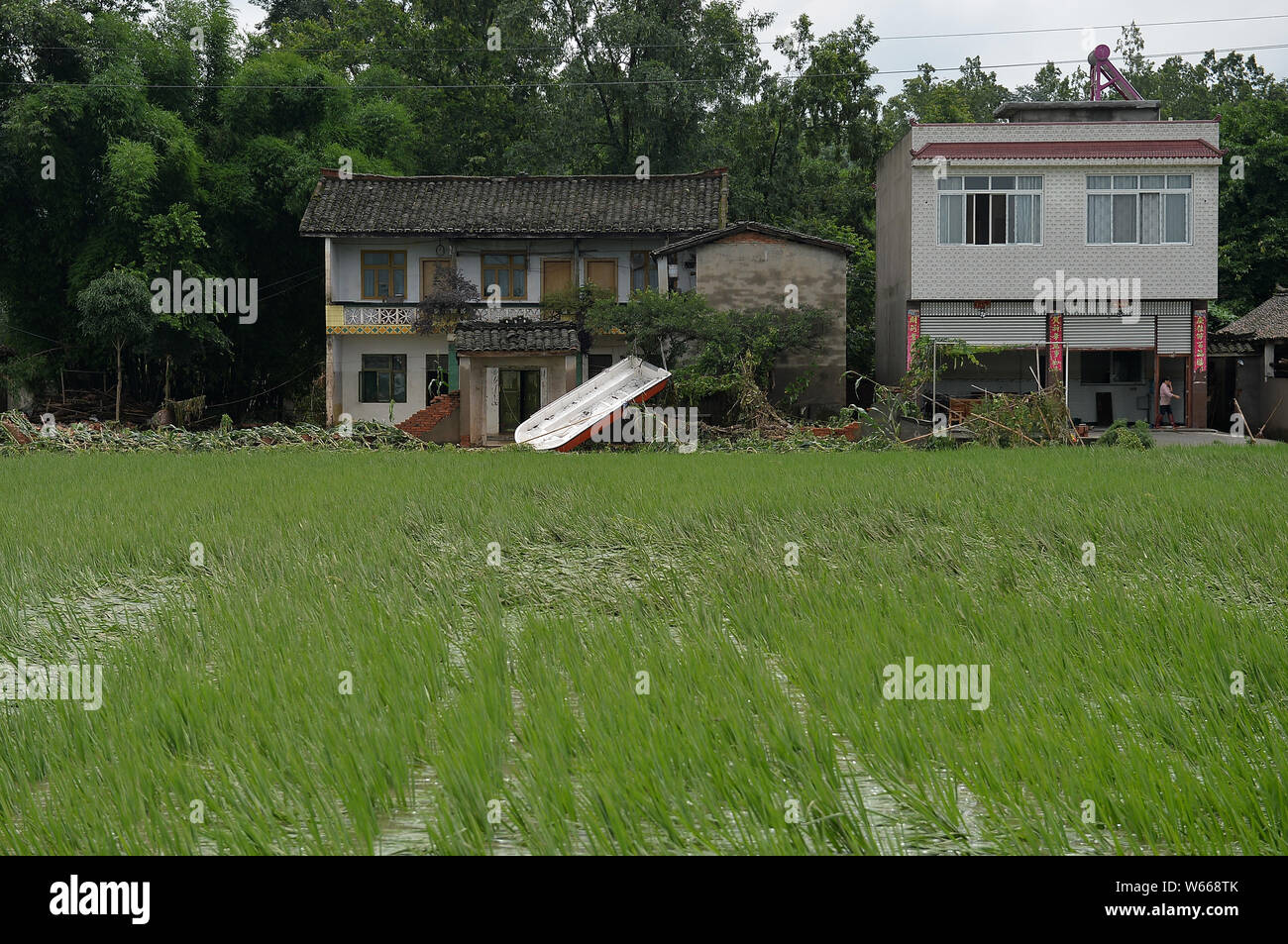 Submerged paddy field hi-res stock photography and images - Alamy