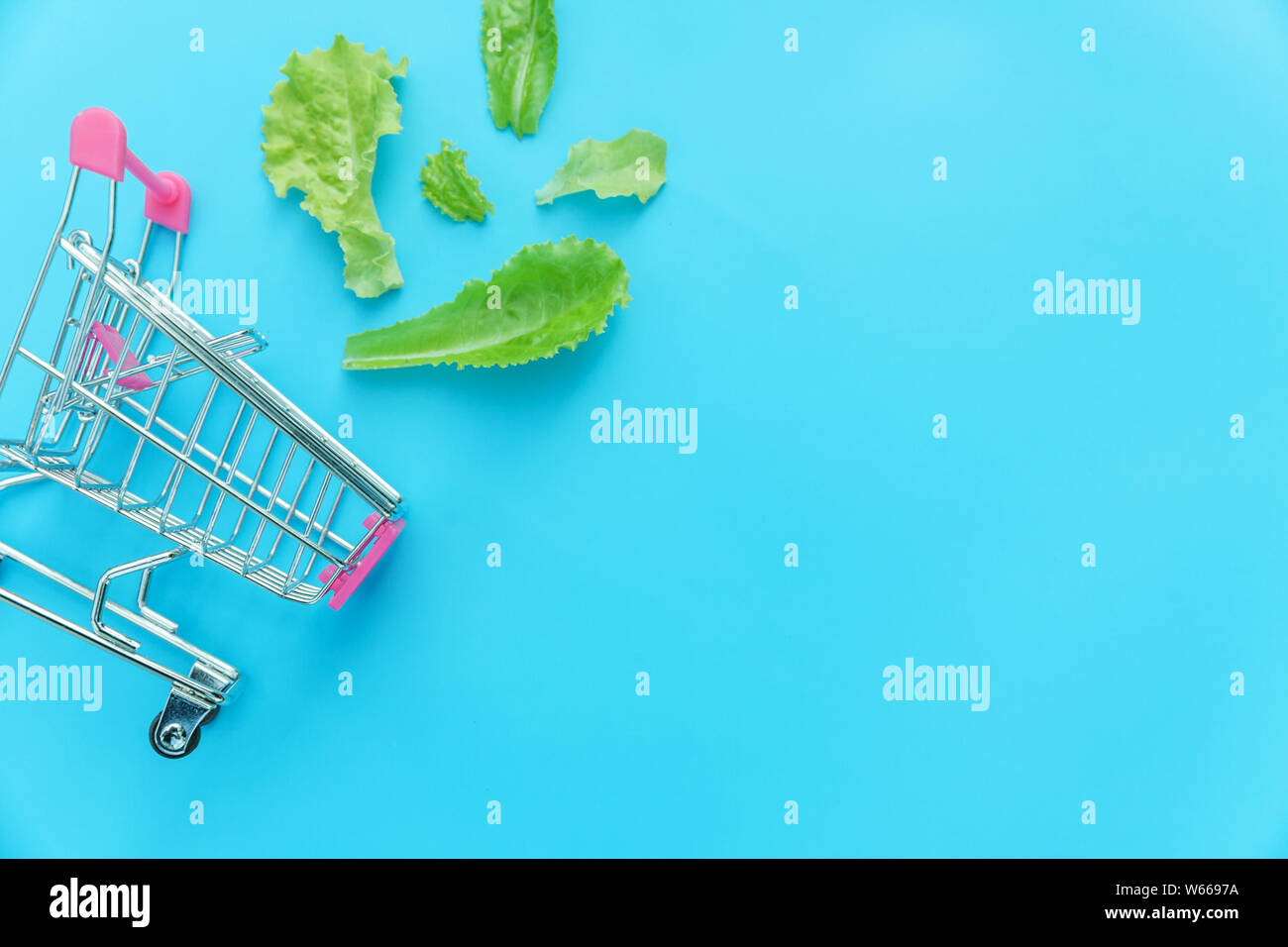 Ecology eco products health food vegan vegetarian concept . Small ...