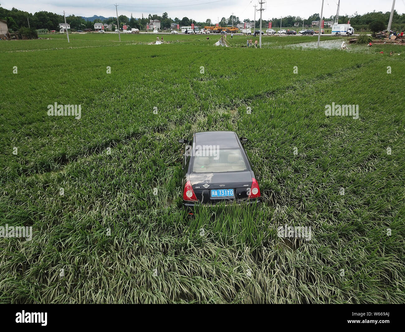 Submerged paddy field hi-res stock photography and images - Alamy