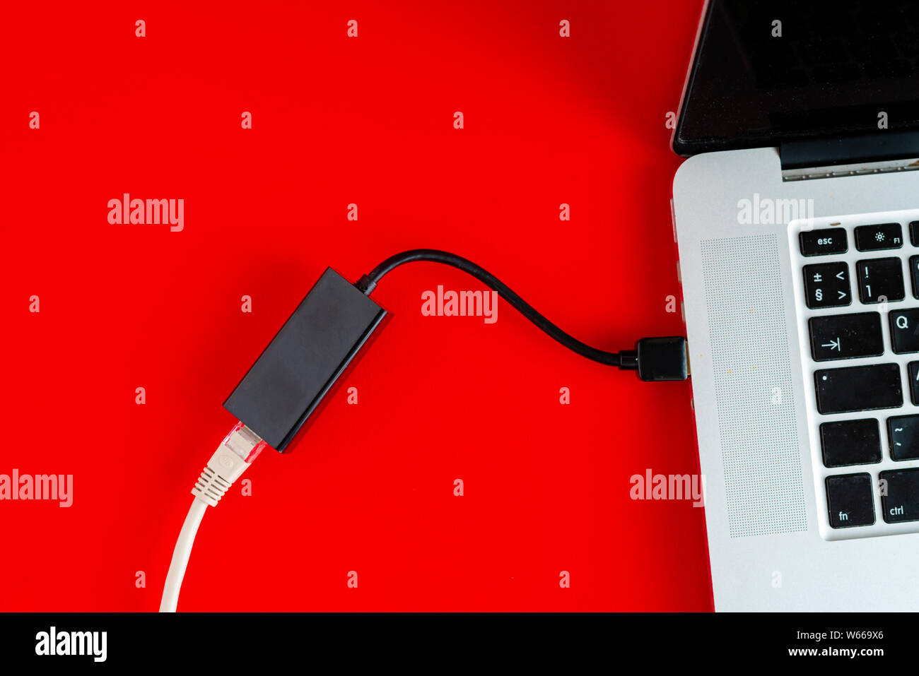 ethernet lan card wire to connect to desktop computer Stock Photo - Alamy