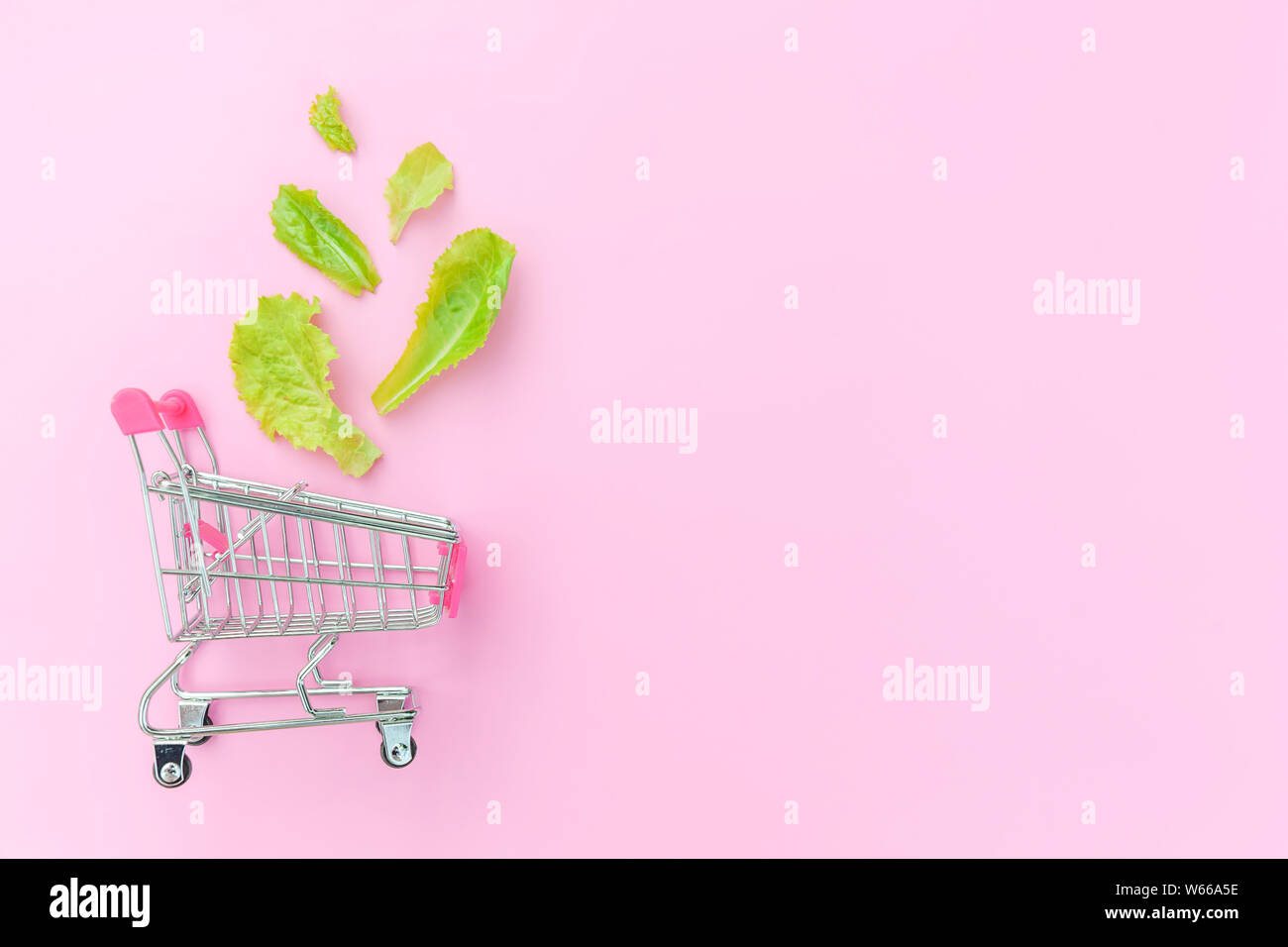 Ecology eco products health food vegan vegetarian concept . Small ...