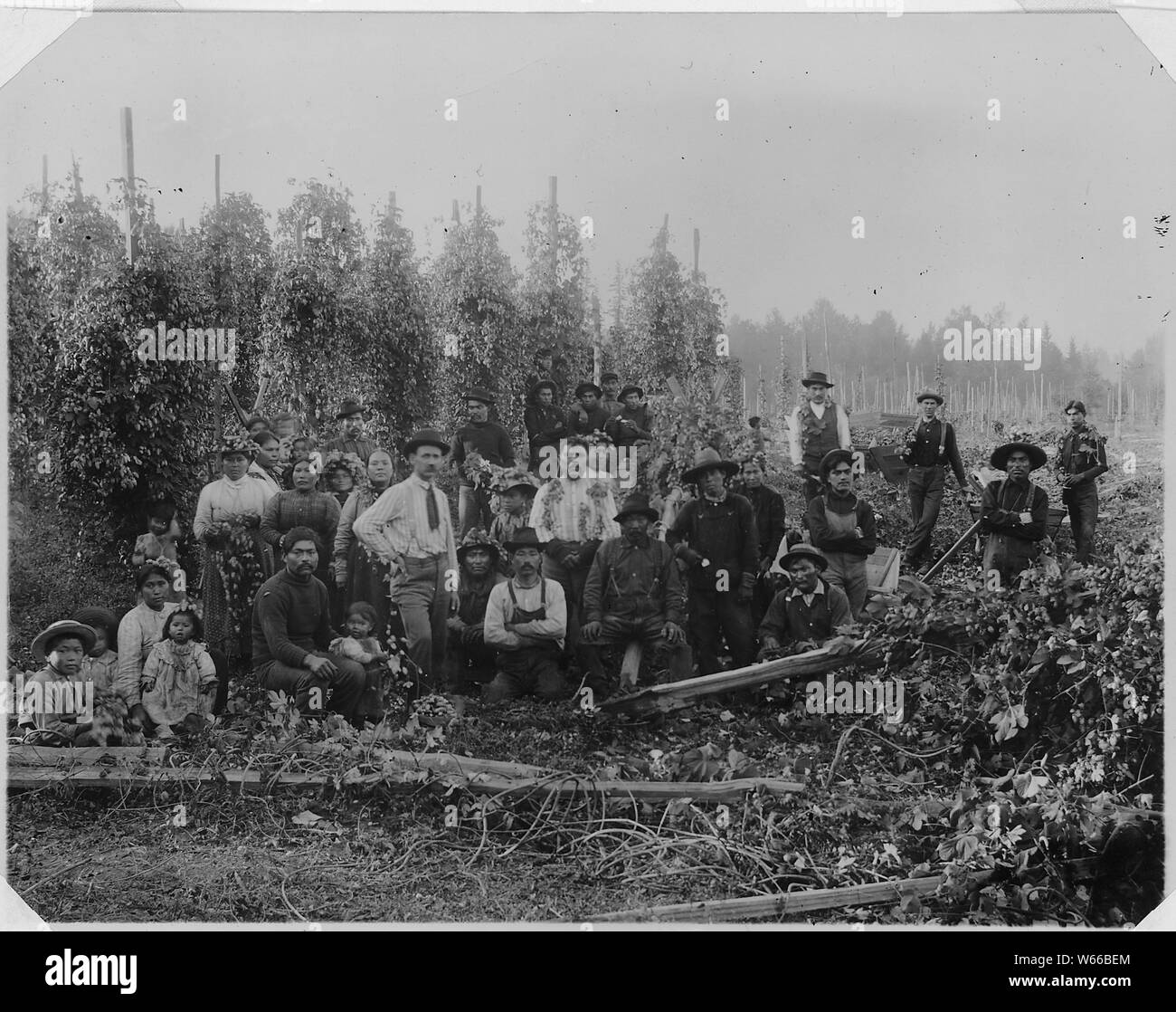 Hop pickers Black and White Stock Photos & Images - Alamy