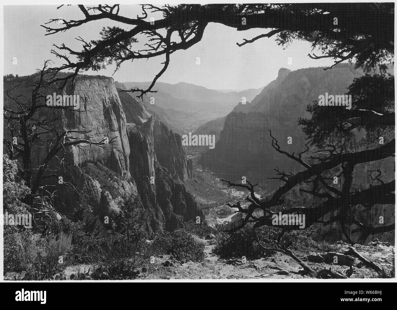 Horizontal view of Zion Canyon from east side of Observation Point ...