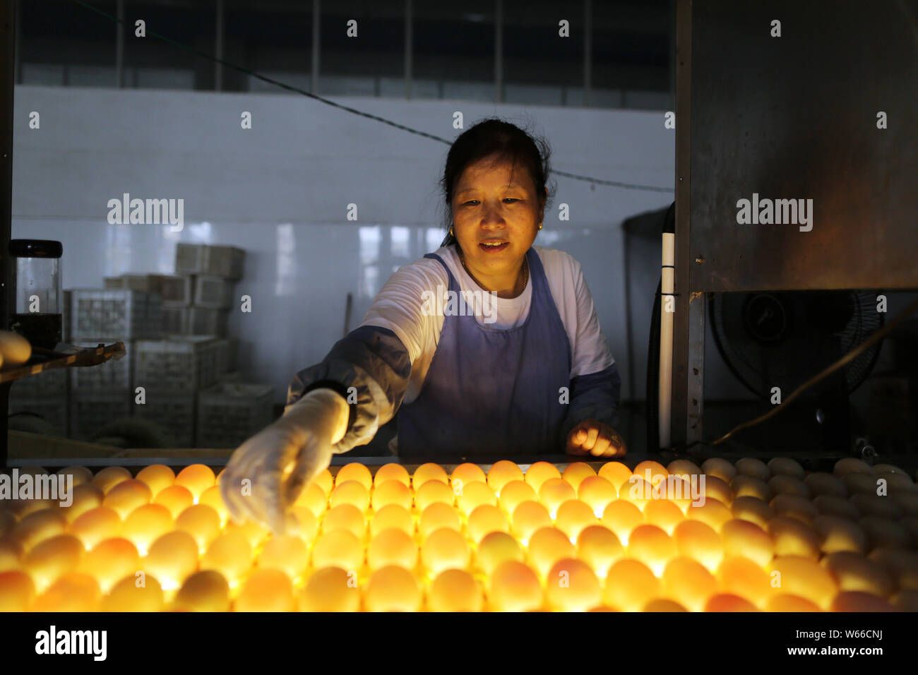 Double yolk duck eggs in gaoyou hi-res stock photography and images - Alamy