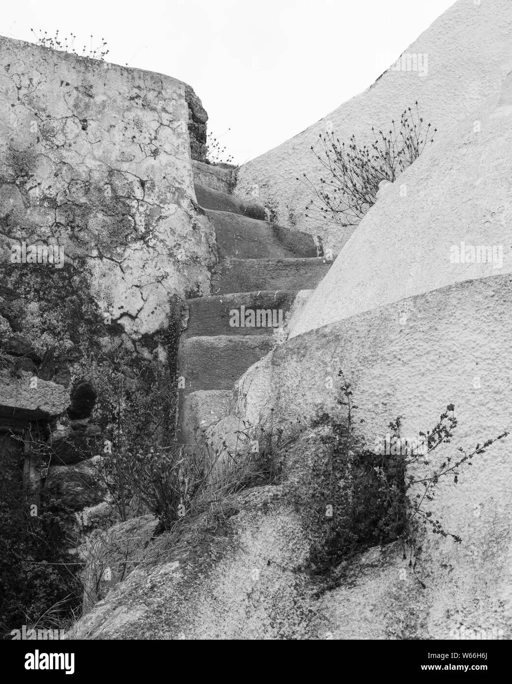 Overgrown stairs to a roof Black and White Stock Photos & Images - Alamy