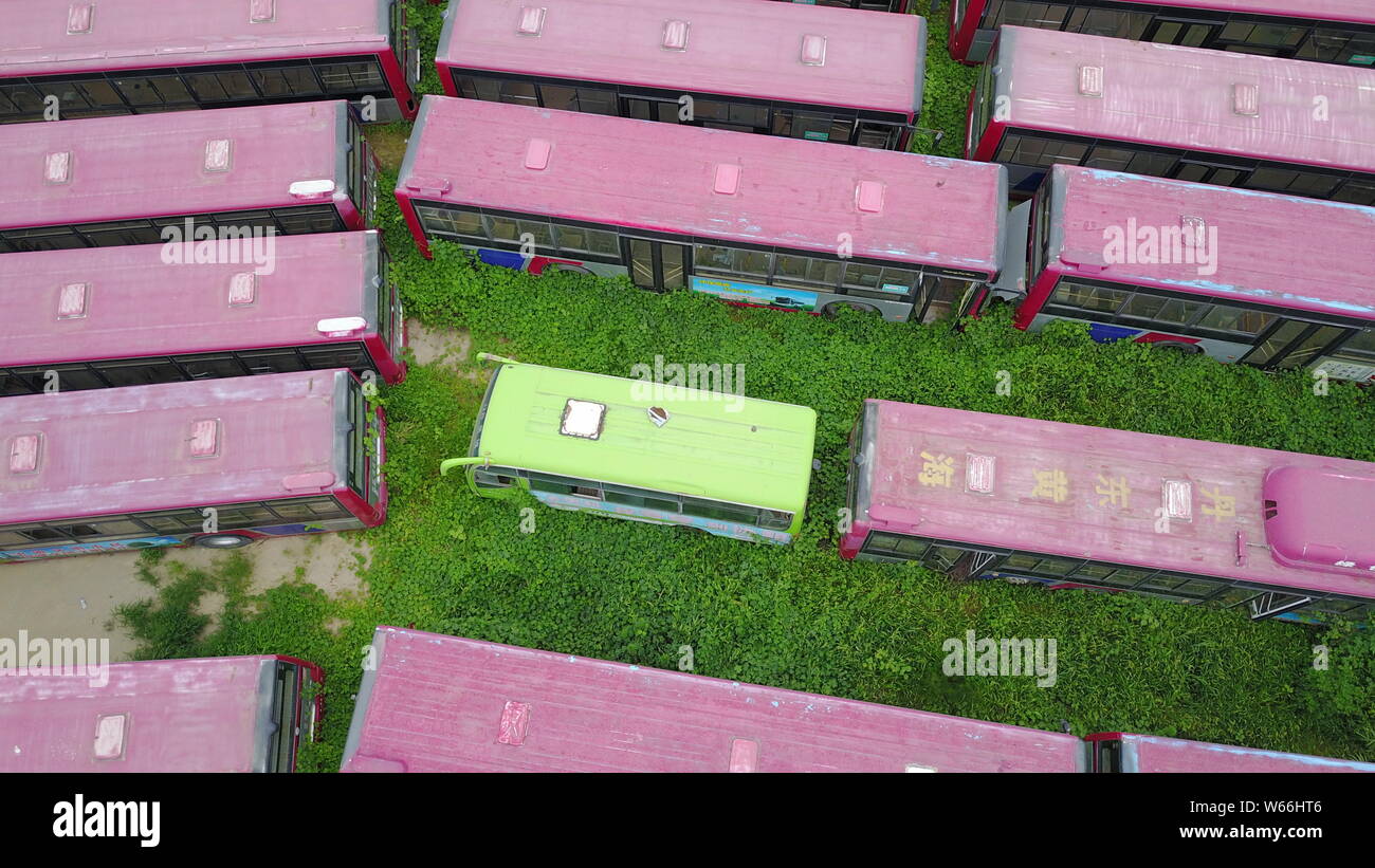 An aerial view of a bus "graveyard" crammed with discarded buses in an ...