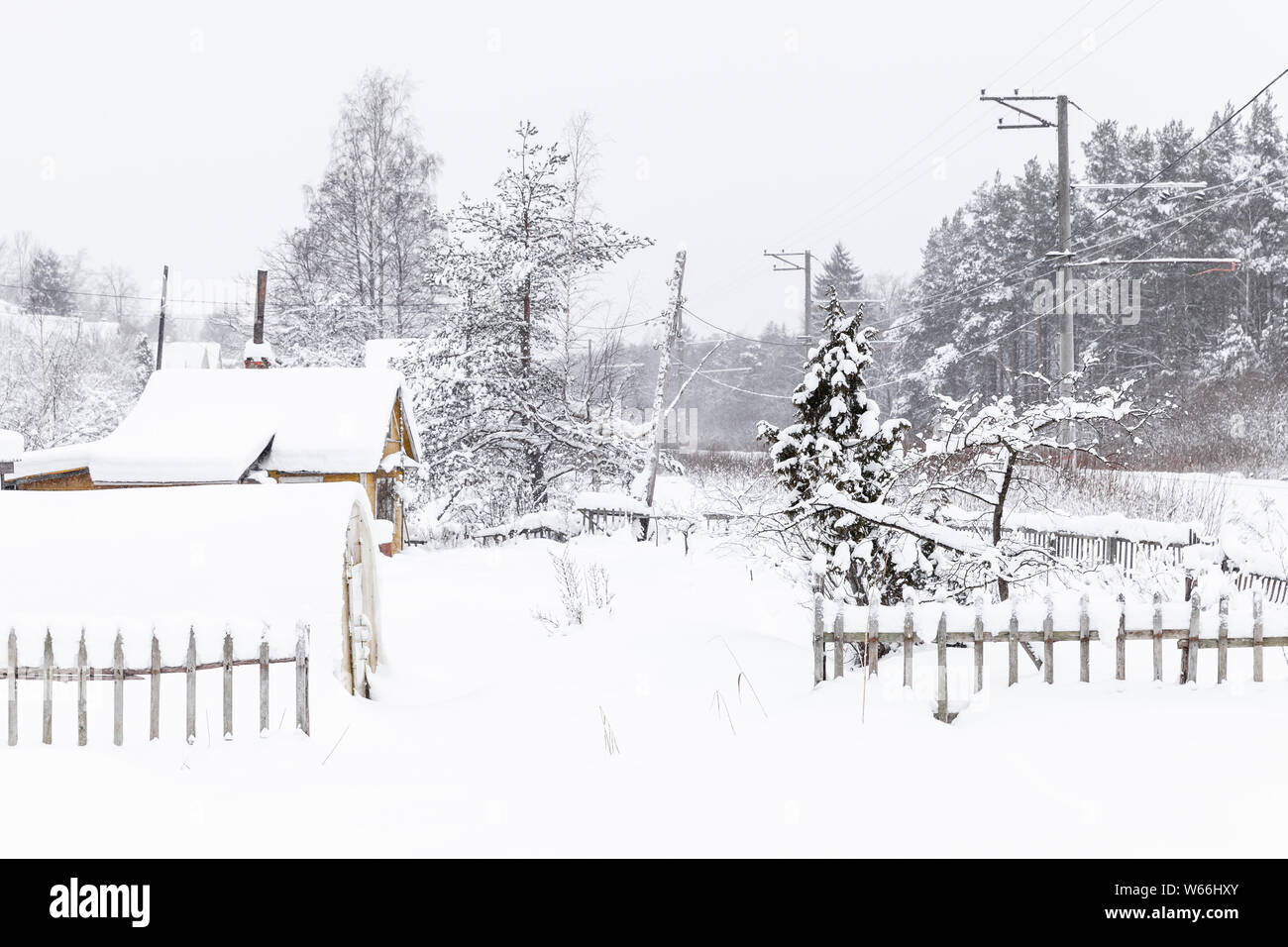 Winter rural landscape with snowy trees and village houses at daytime ...