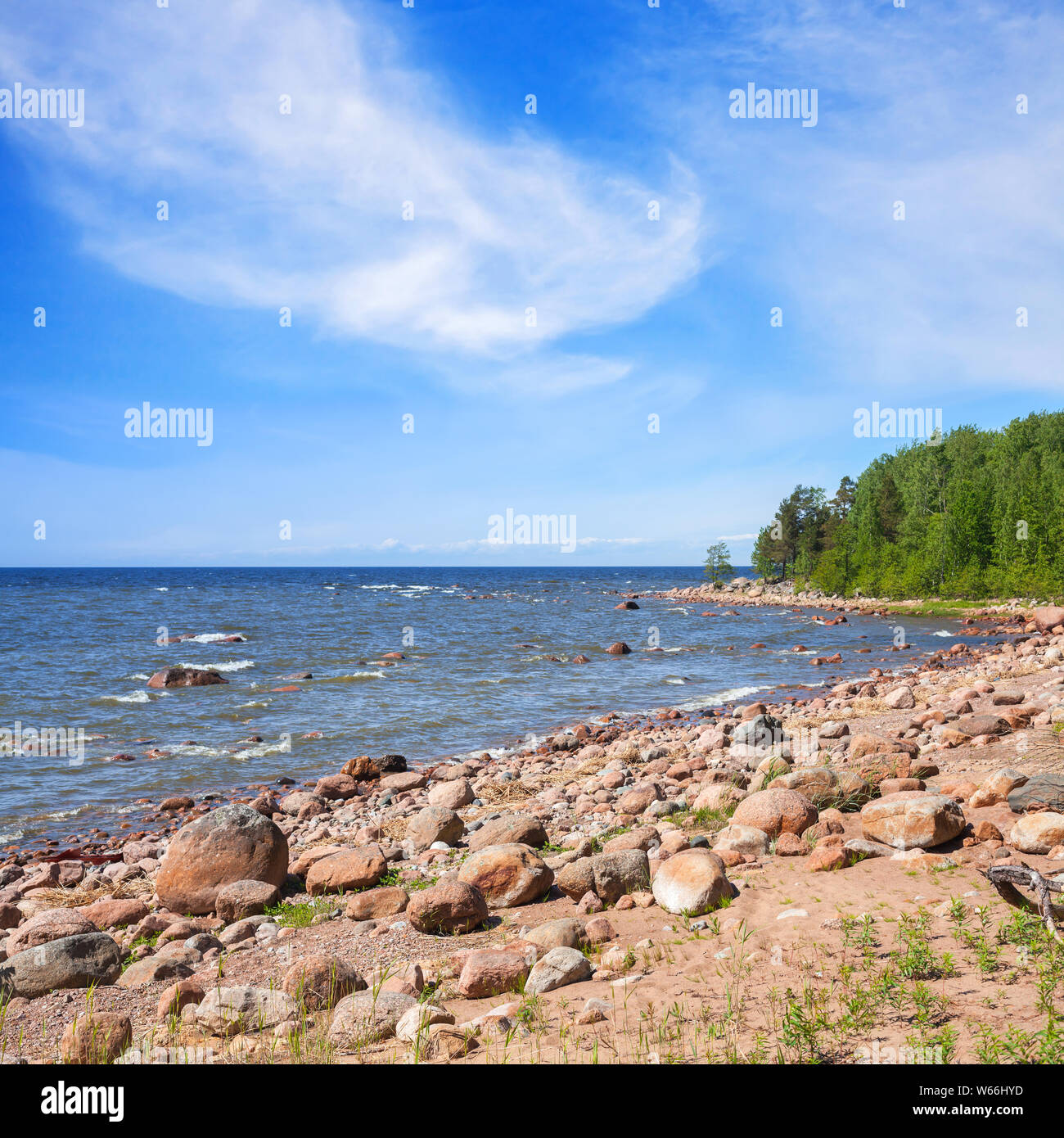 Baltic sea coast in summer. Square landscape with shore water and ...