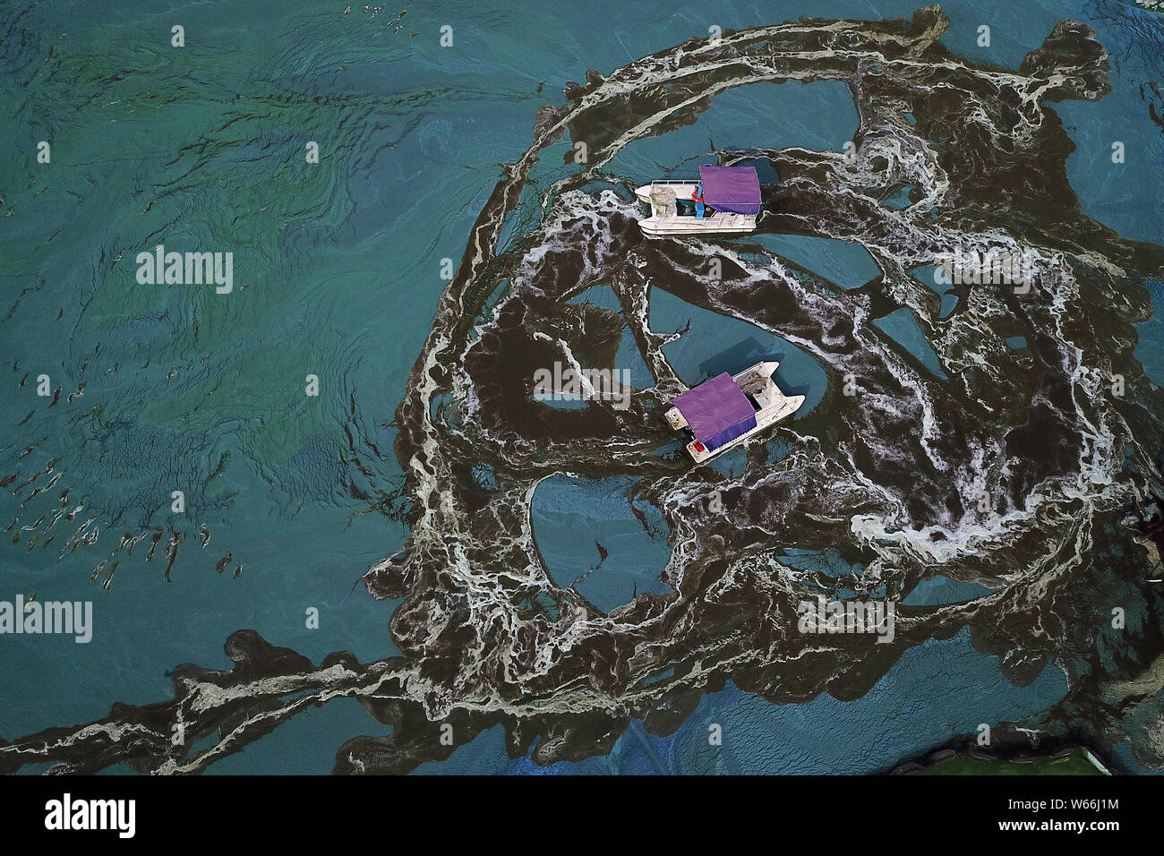 Chinese workers clear blue-green algae on boats in the green water of ...