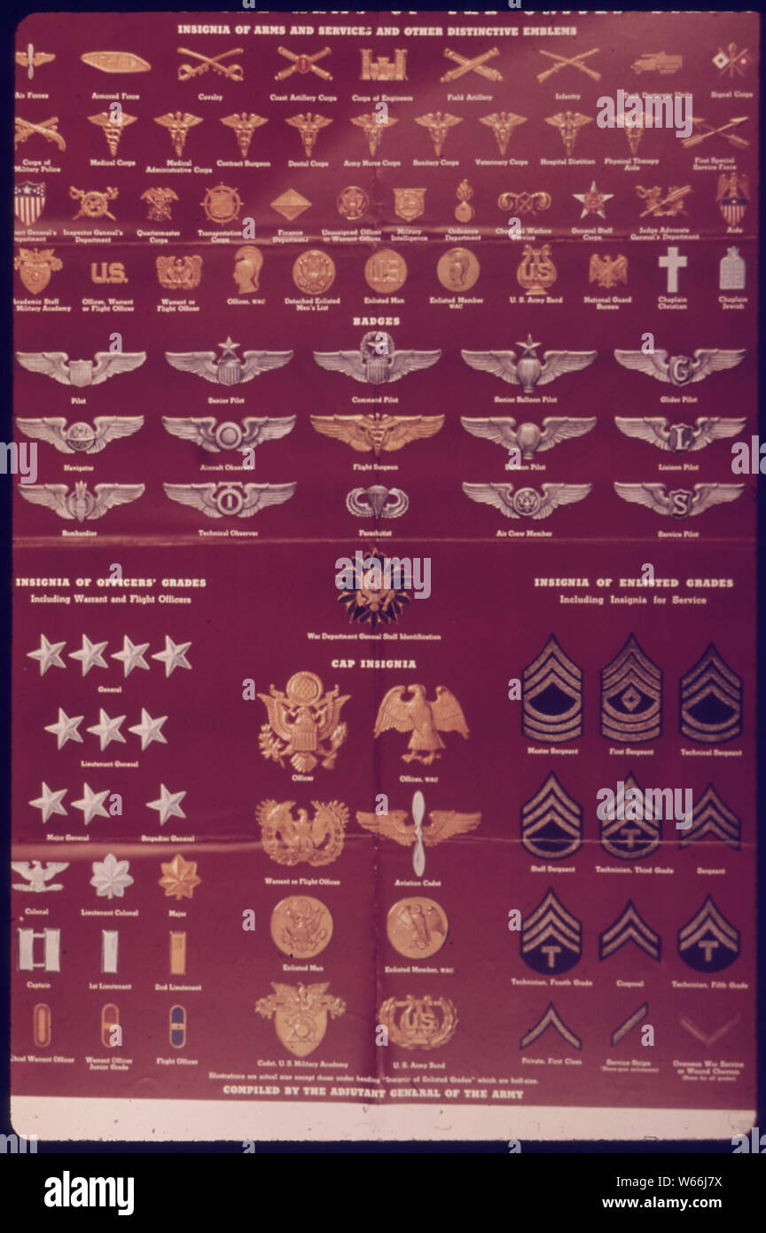 Insignia of the Army of the United States Stock Photo - Alamy