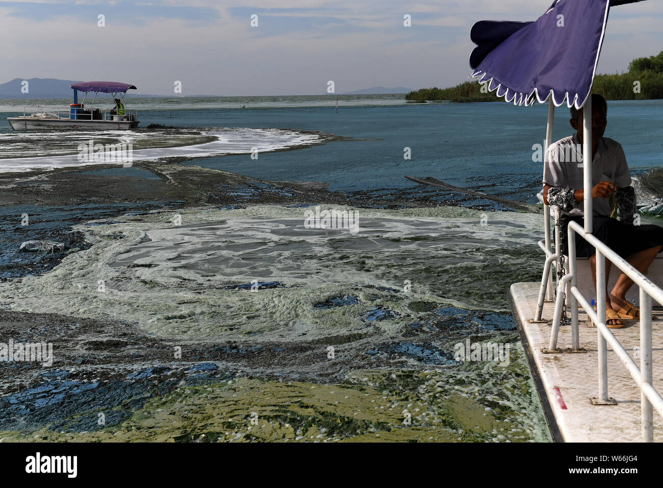 Chinese workers clear blue-green algae on boats in the green water of ...