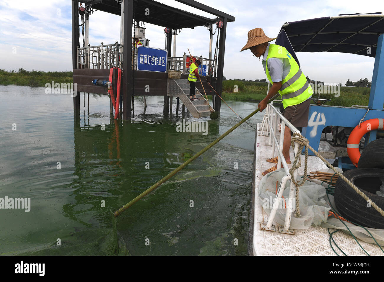 Chinese workers clear blue-green algae on boats in the green water of ...