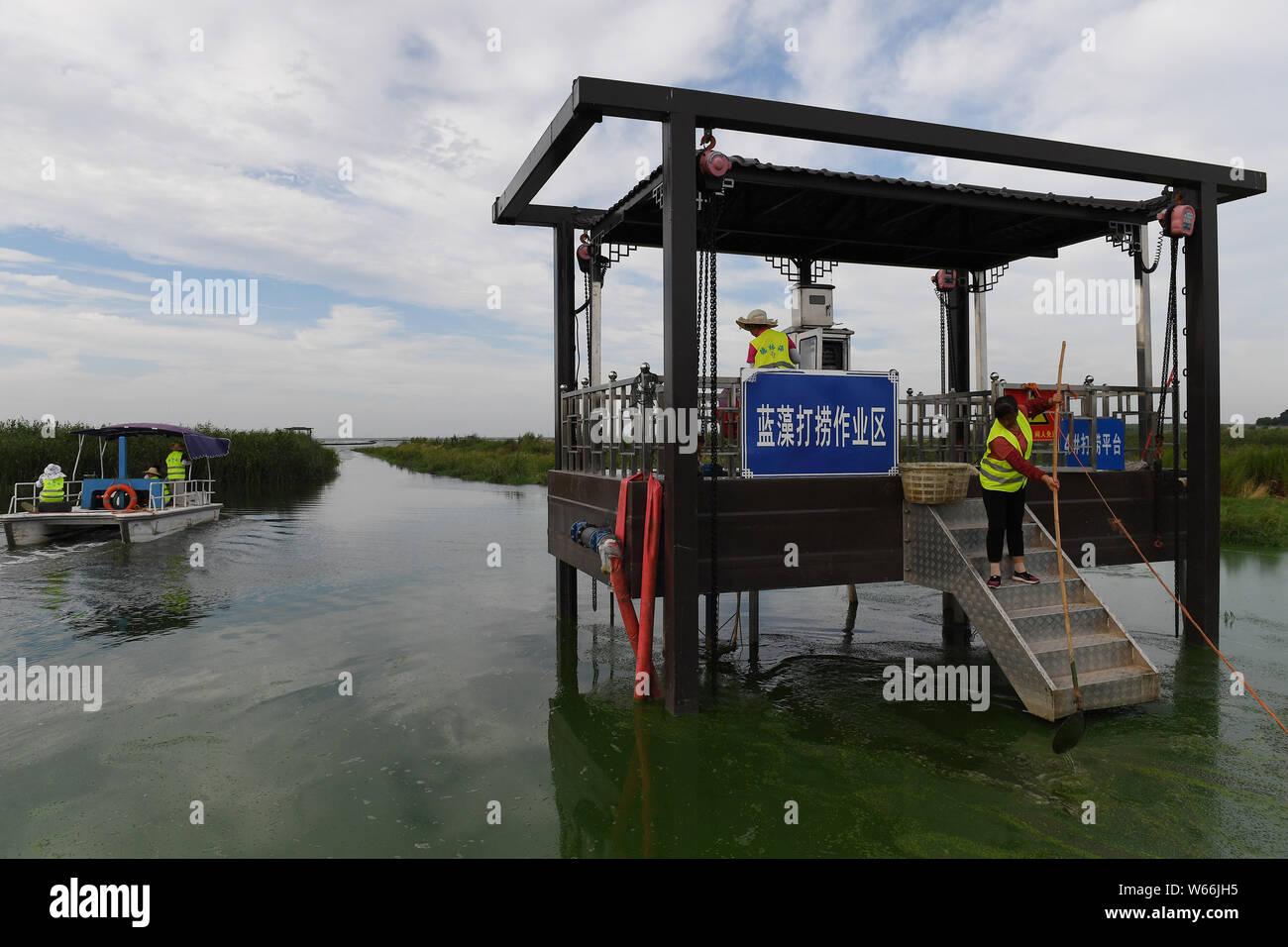 Chinese workers clear blue-green algae on boats in the green water of ...