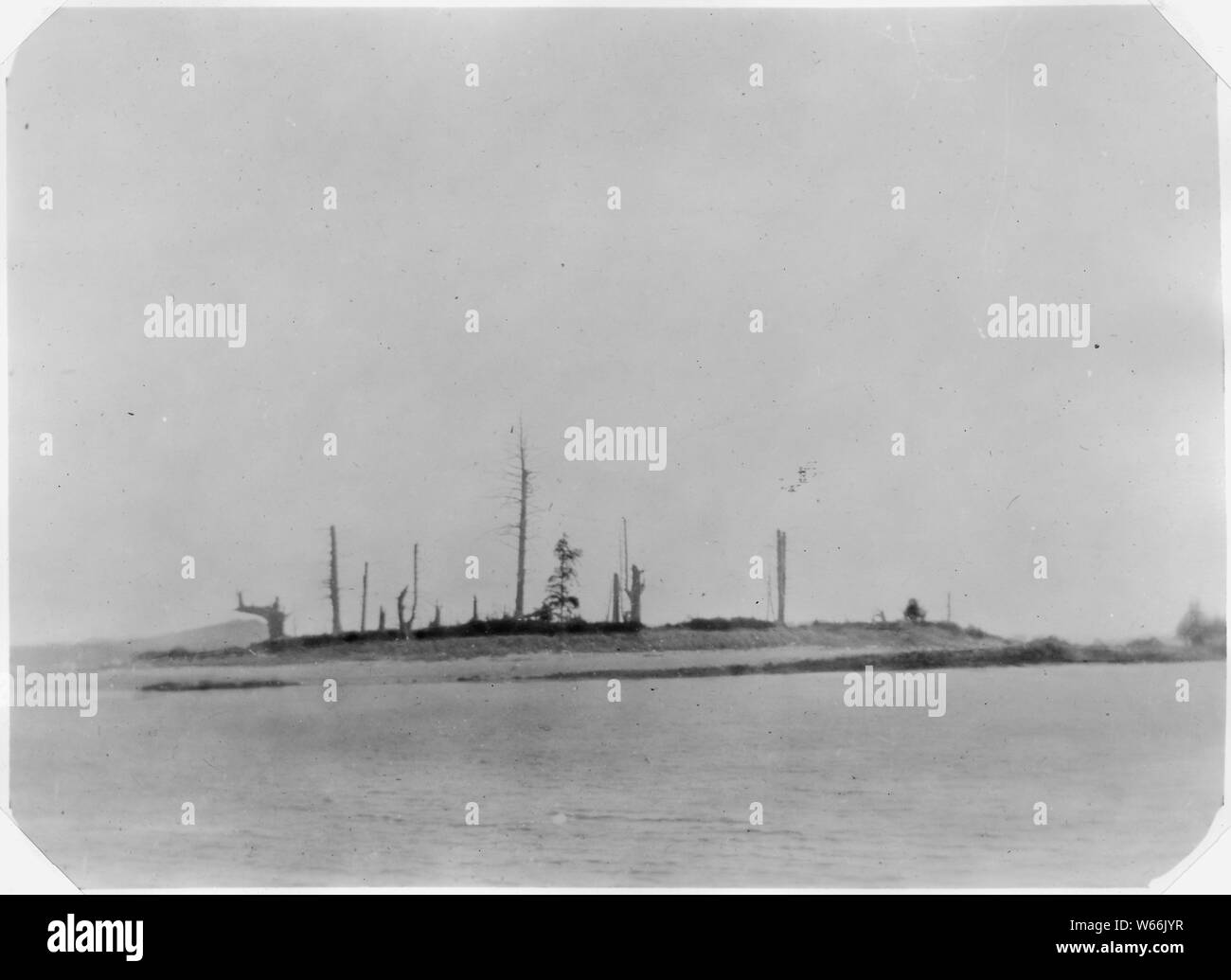 Island or a shoreline; or treestumps Stock Photo - Alamy