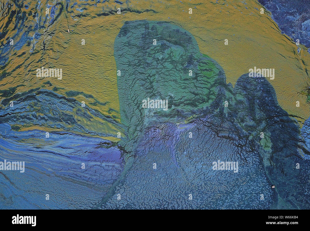 Chinese workers clear blue-green algae on boats in the green water of ...