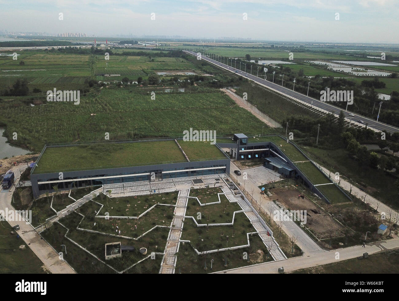 Chinese workers clear blue-green algae on boats in the green water of ...