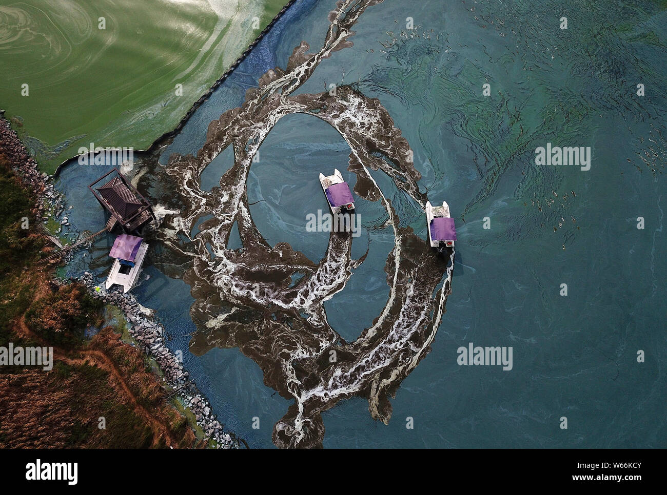 Chinese workers clear blue-green algae on boats in the green water of ...