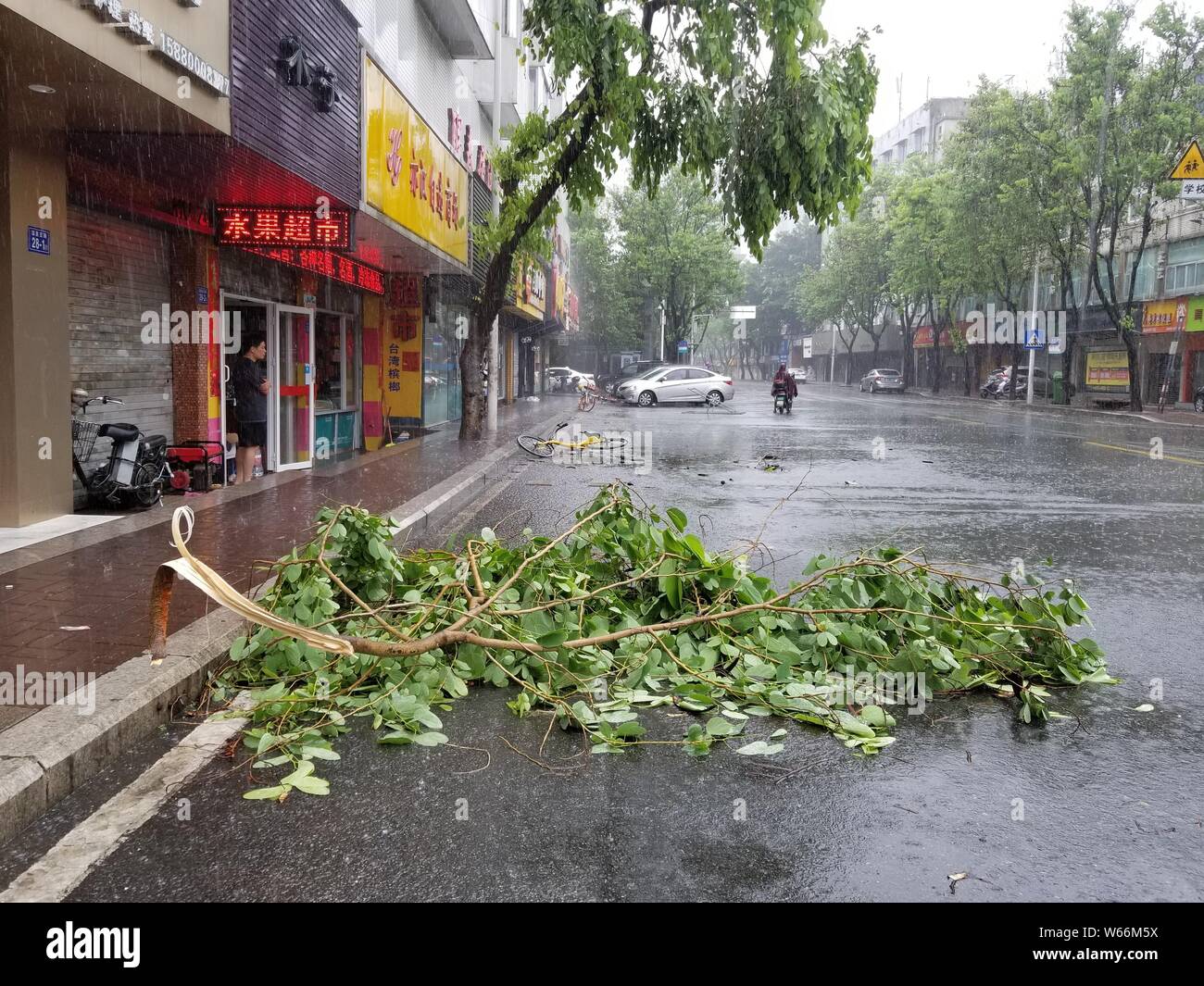 Tree branches are broken by strong wind caused by Typhoon Maria, the ...