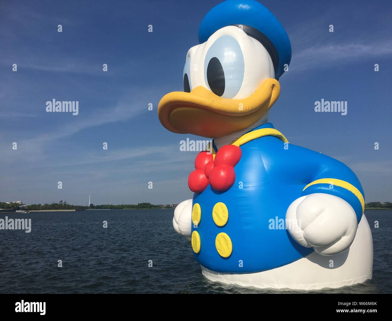 An 11-meter-tall inflatable Donald Duck is on display at the lakeside ...