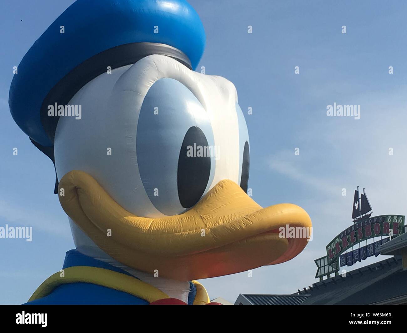 An 11-meter-tall inflatable Donald Duck is on display at the lakeside ...
