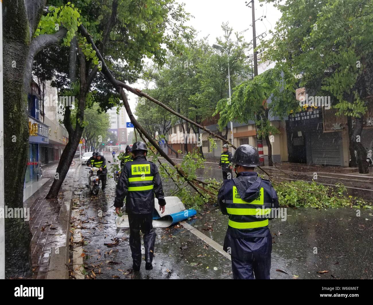 Chinese urban enforcement officers, also known as chengguan, clear tree ...