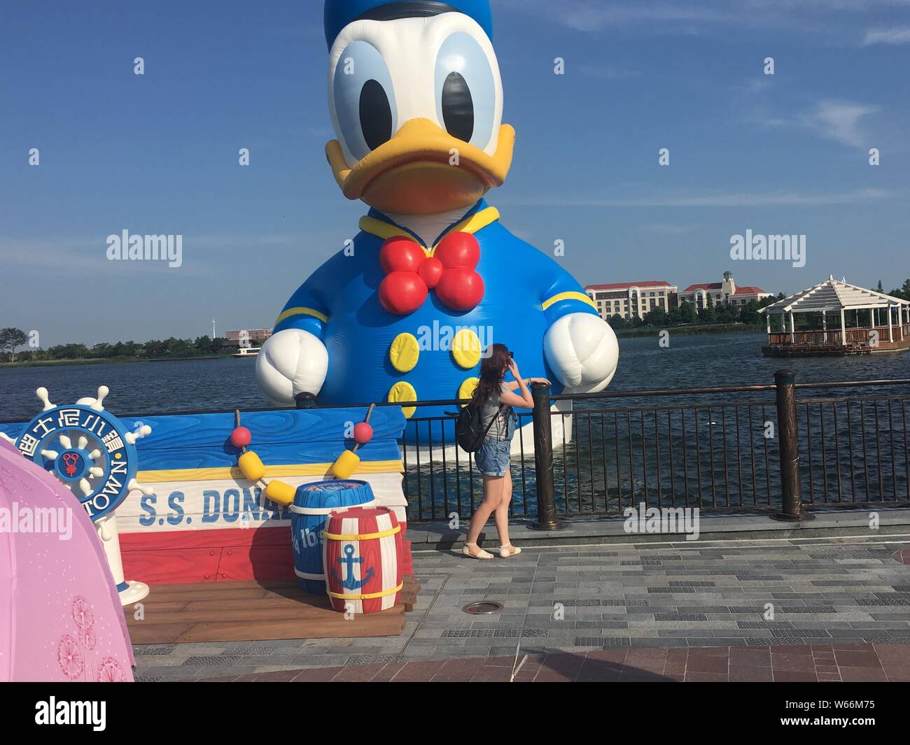 A tourist poses for photos with an 11-meter-tall inflatable Donald Duck ...