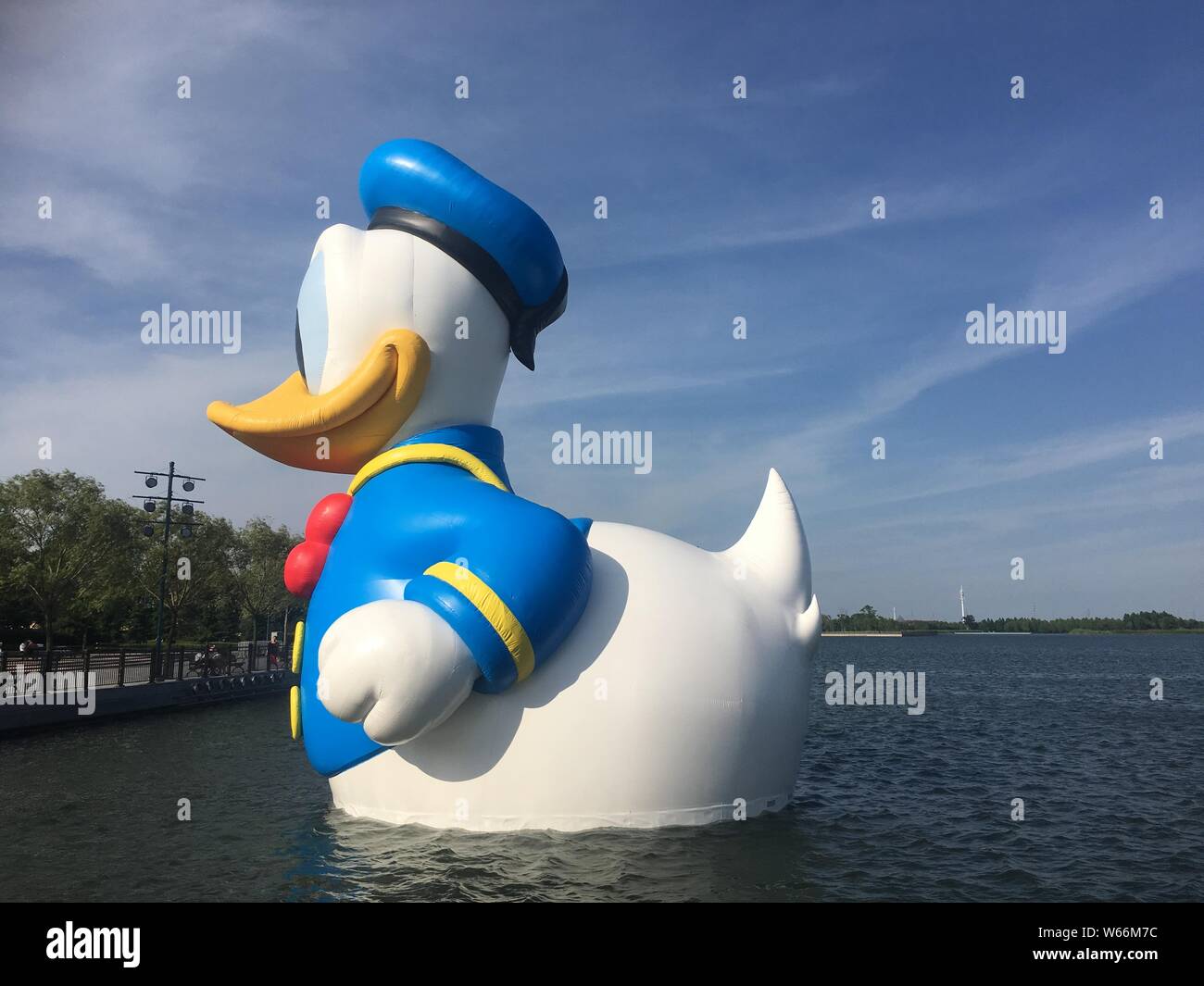 An 11-meter-tall inflatable Donald Duck is on display at the lakeside ...
