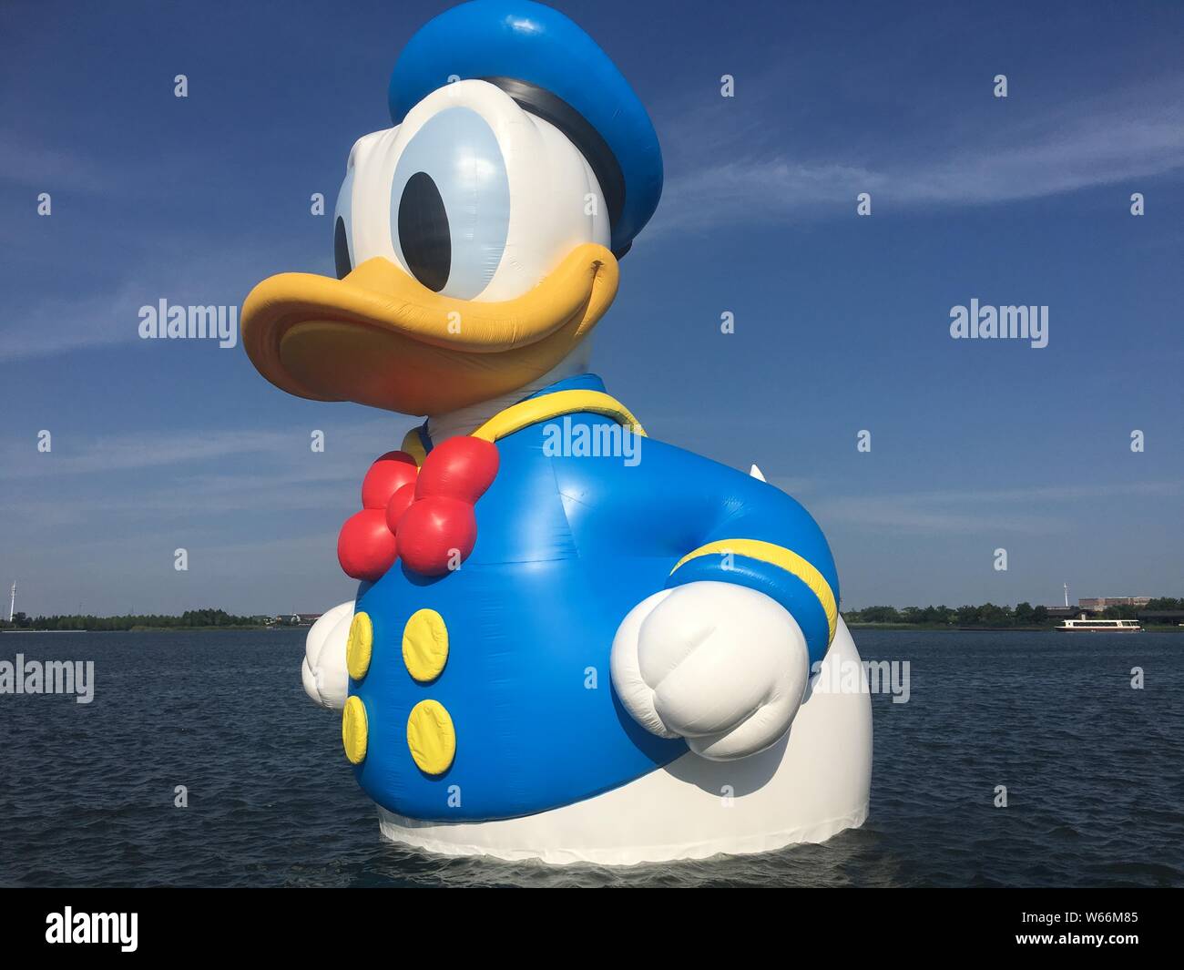 An 11-meter-tall inflatable Donald Duck is on display at the lakeside ...