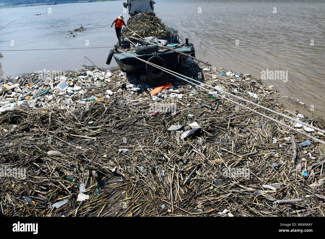 A Chinese worker collects garbage floating on the Yangtze River in ...