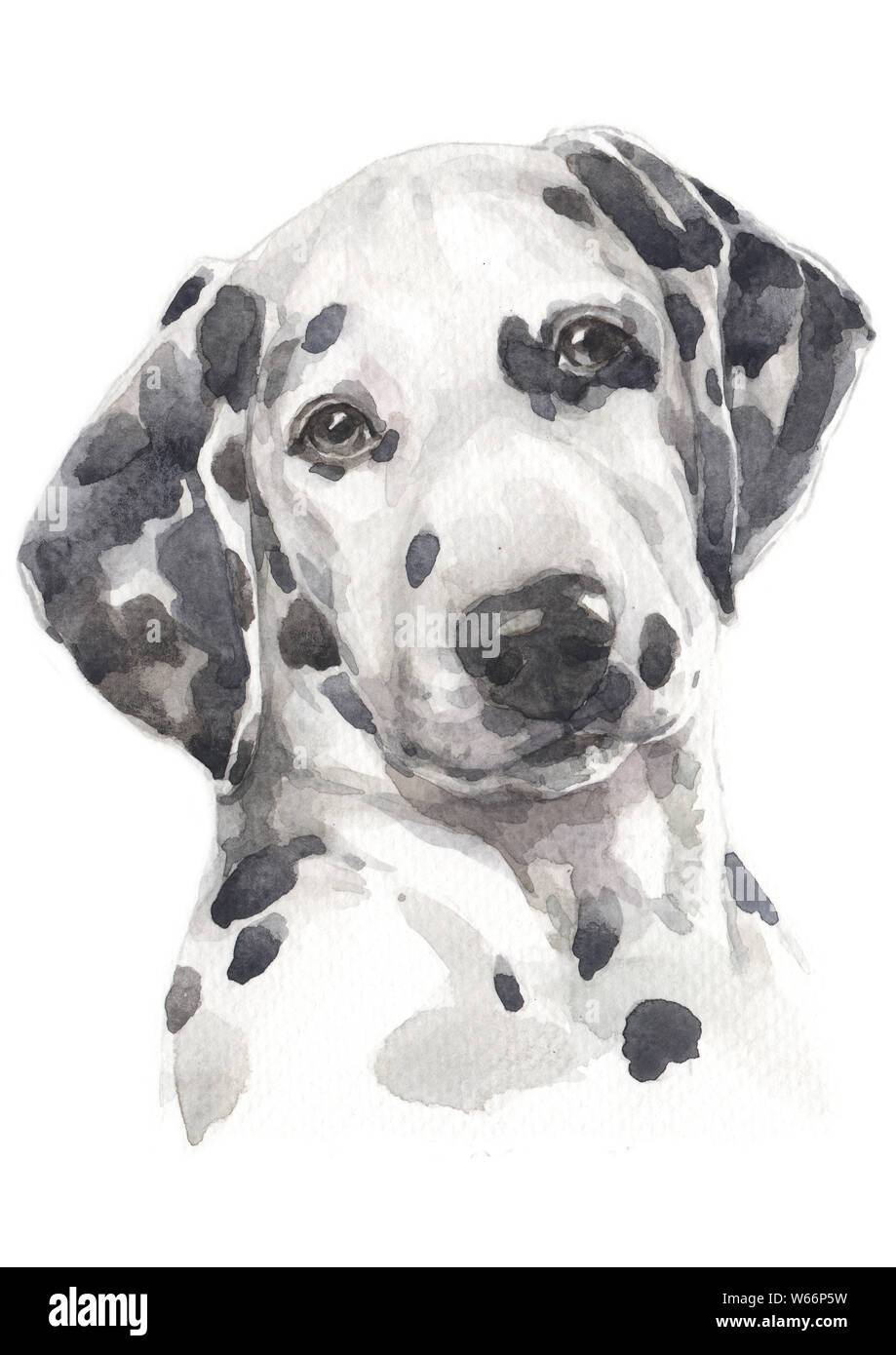 Dot dalmatian dog animal Cut Out Stock Images & Pictures - Alamy