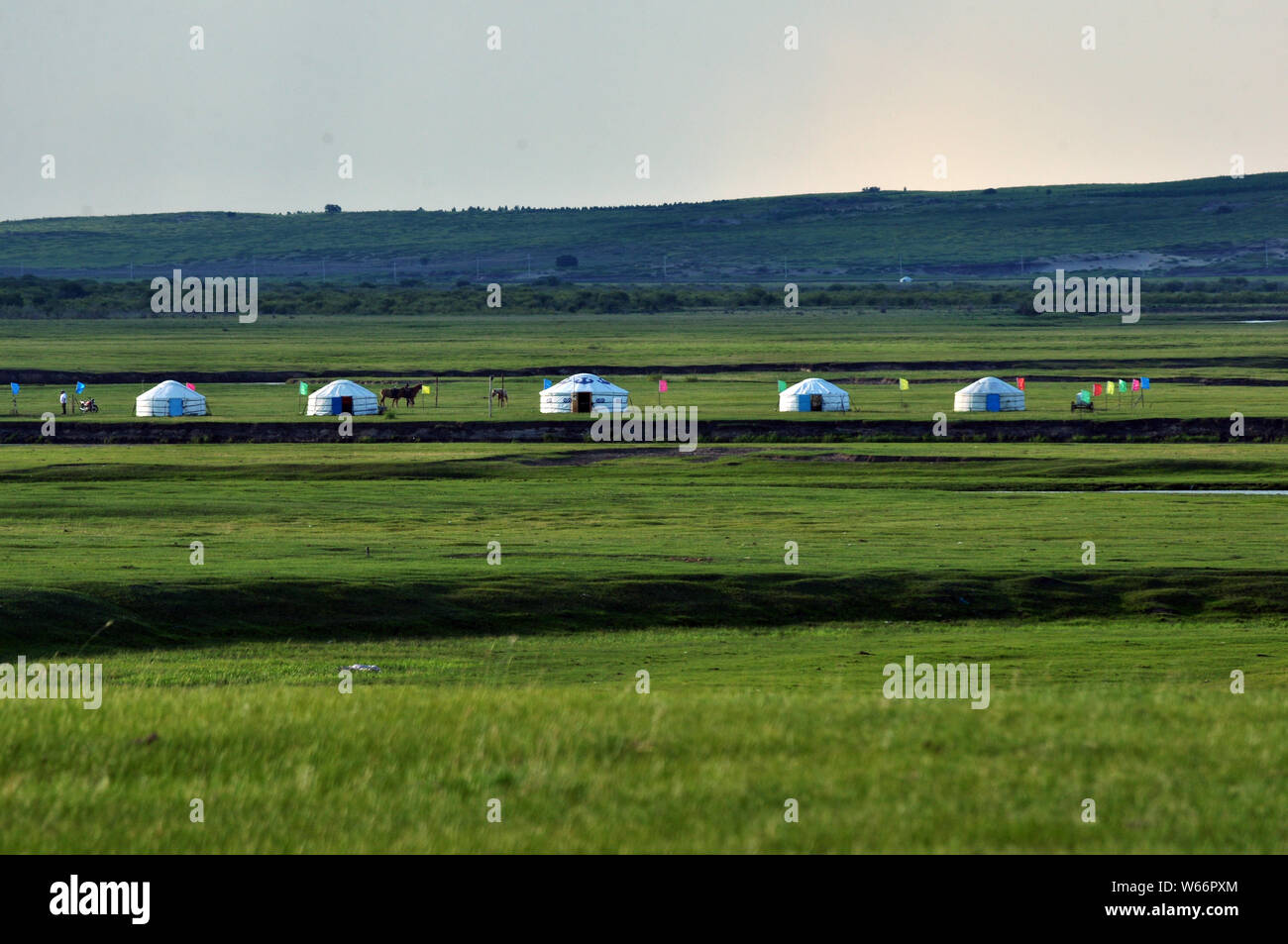 Hulun buir hi-res stock photography and images - Alamy